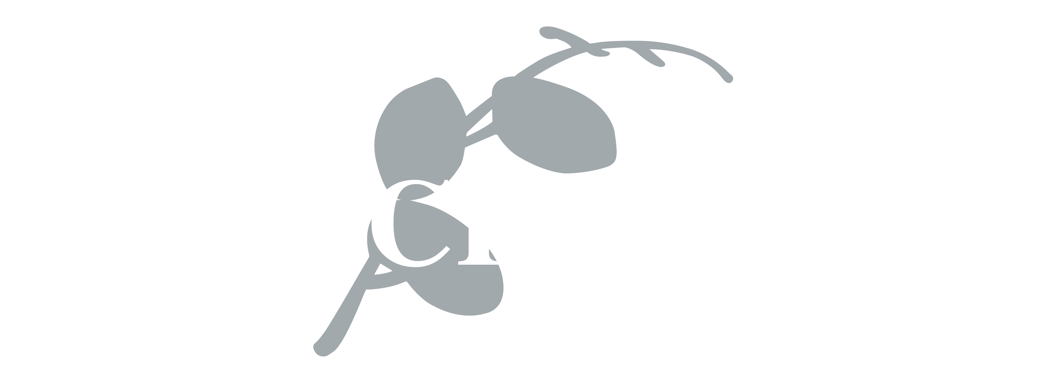 Contact Us Punchbowl